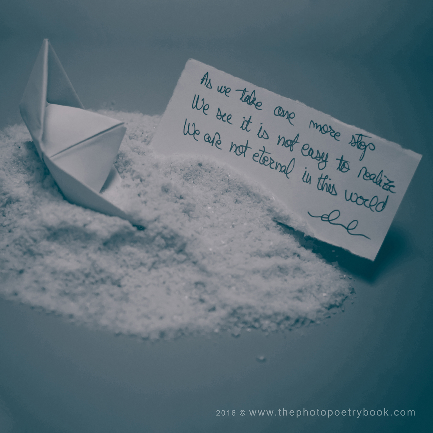 Reflection at the end of the year 2023 - thePhotoPoetryBook Fusion of ...