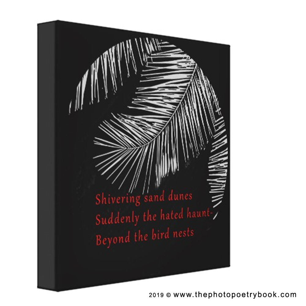 Sand Dunes – A Photo Haiku - thePhotoPoetryBook Fusion of fine art ...